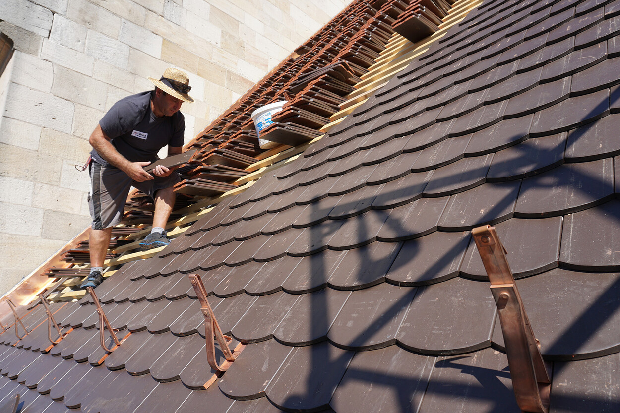 Biber auf dem Schloßberg - Blog - CREATON